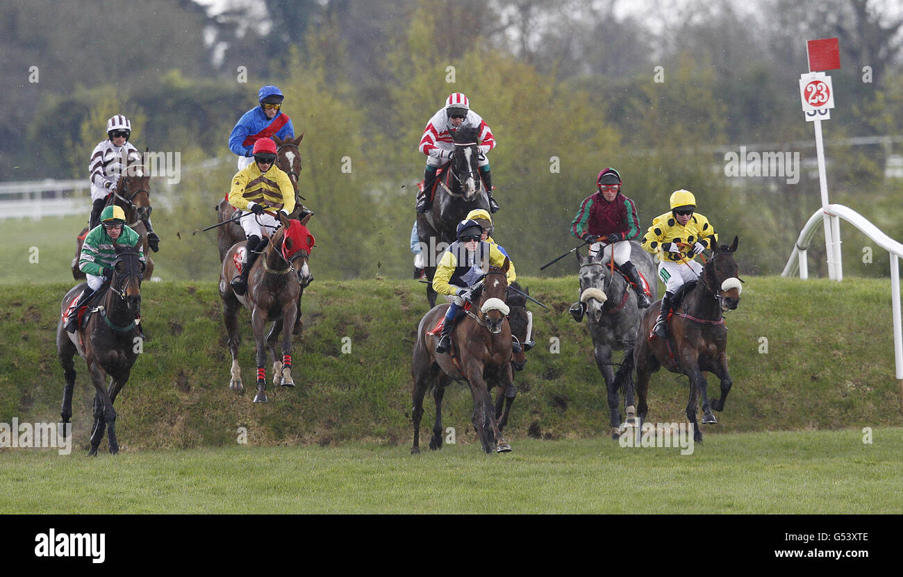 The field clearing Ruby's Double in the Kildare Hunt Club Fr Sean Breen ...