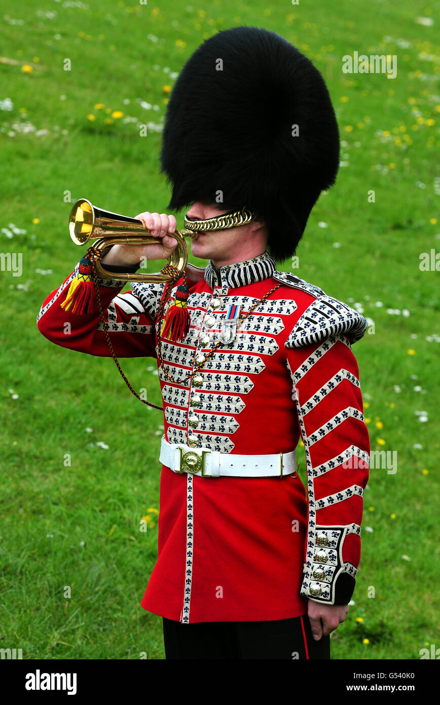 Memorial service grenadier guard hi-res stock photography and images ...