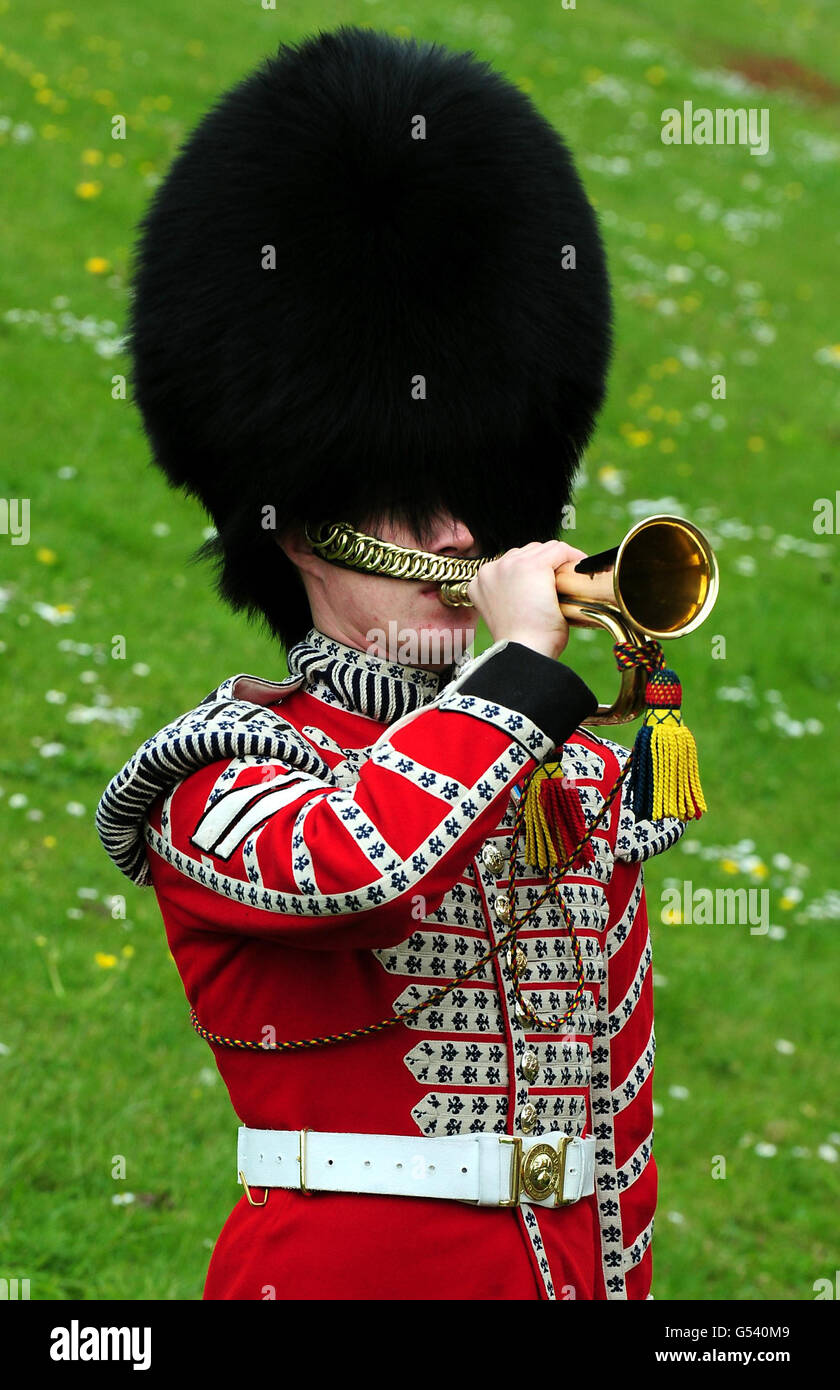 Memorial service grenadier guard hi-res stock photography and images ...