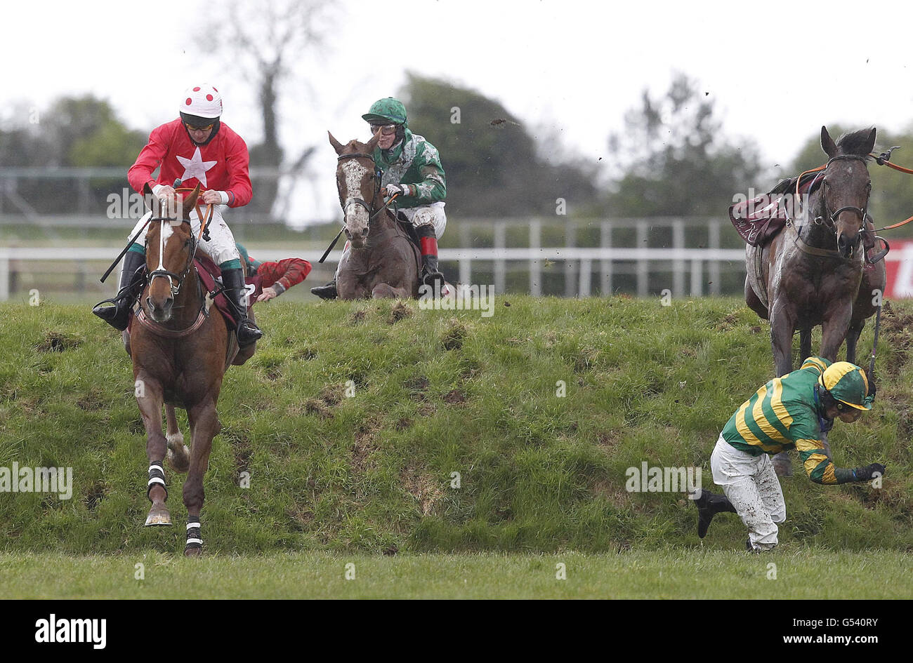 Outlaw Pete ridden by Josh Halley falling at Ruby's Double in the Avon ...