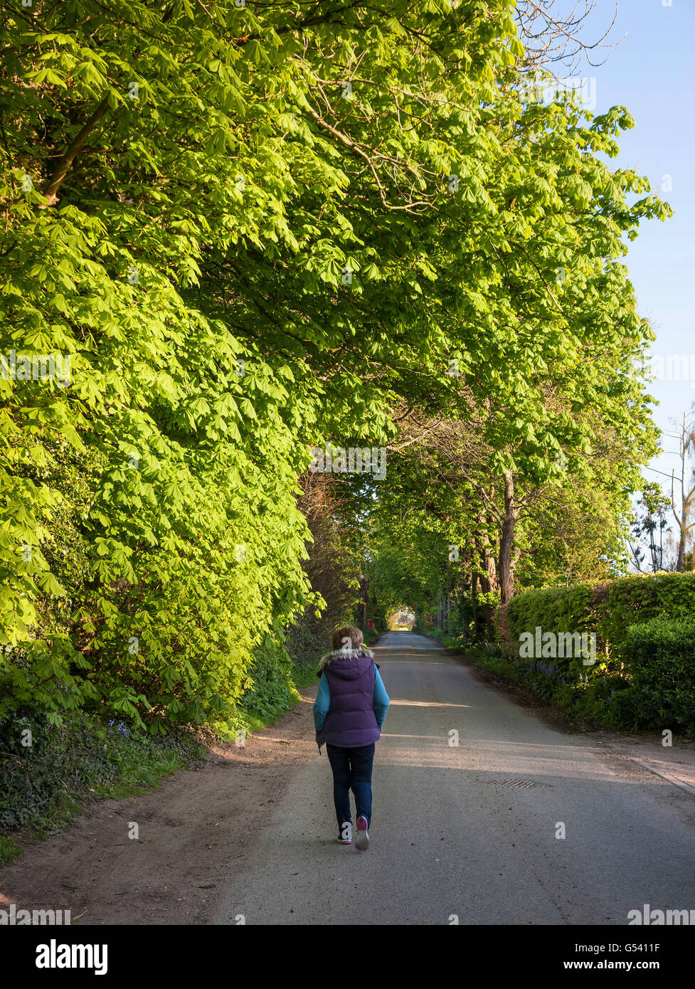 Walk in sunshine hi-res stock photography and images - Alamy