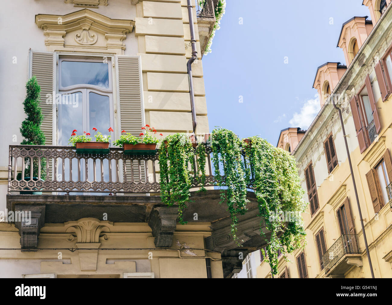 Typical classical Italian house balcony with blooming flowers in Turin ...