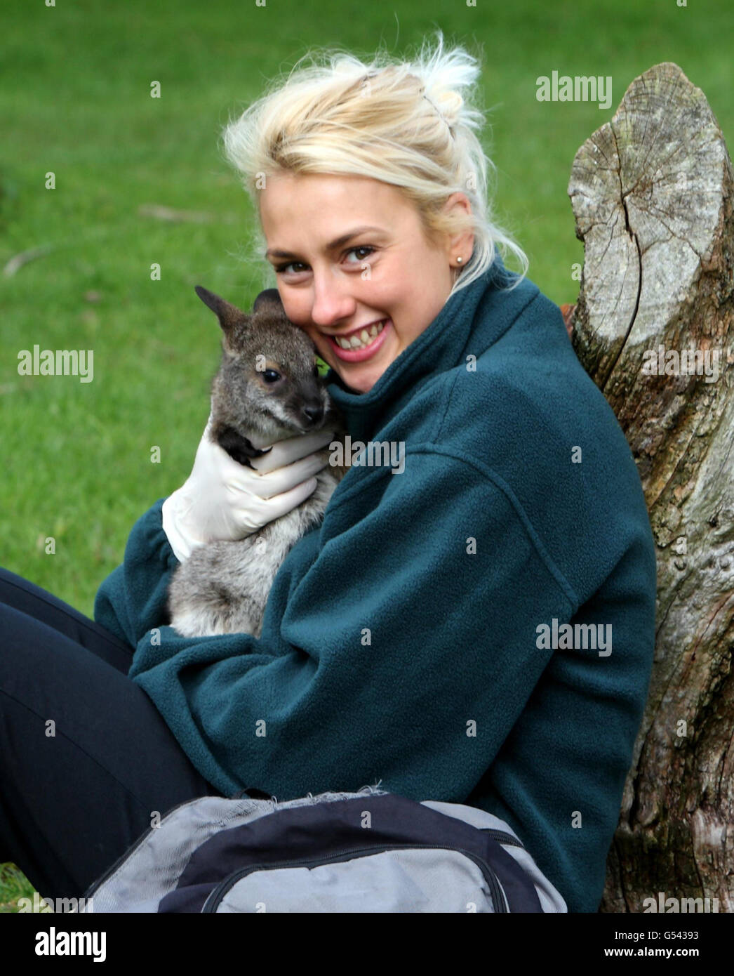 News animals wallaby hi-res stock photography and images - Alamy