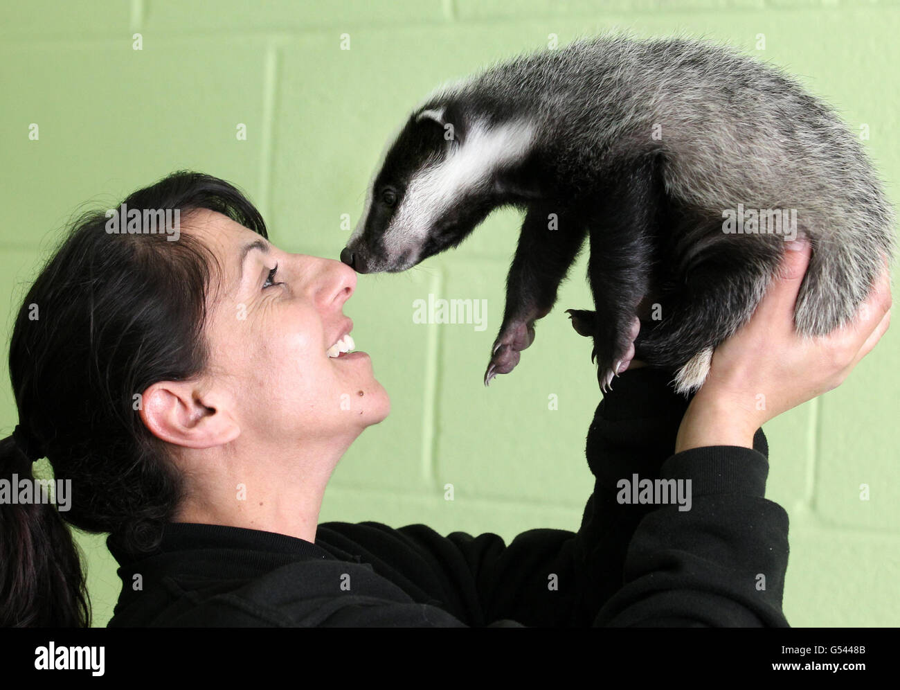 Scottish SPCA Wildlife Rescue Centre Stock Photo - Alamy