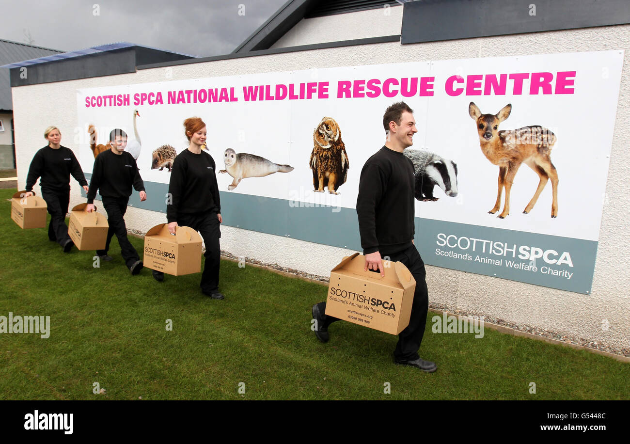 Scottish spca wildlife rescue centre hi-res stock photography and ...