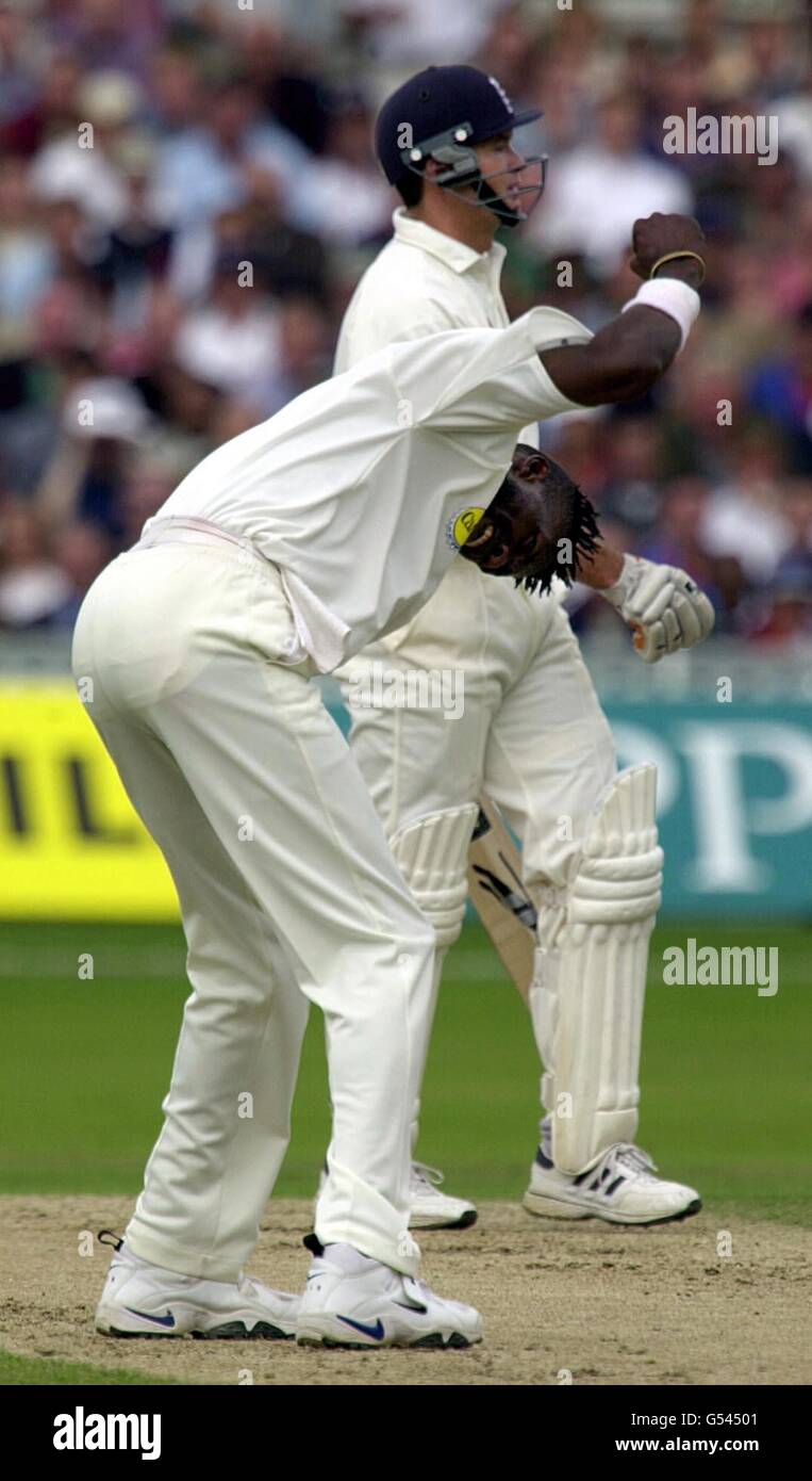 Cricket celebrating arm raised bending hi-res stock photography and ...
