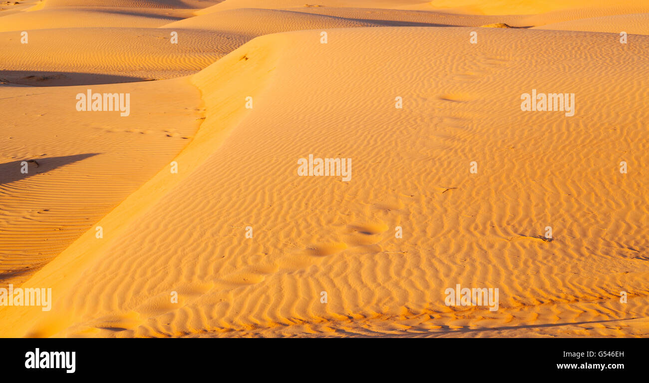 the empty quarter and outdoor sand dune in oman old desert rub al khali ...