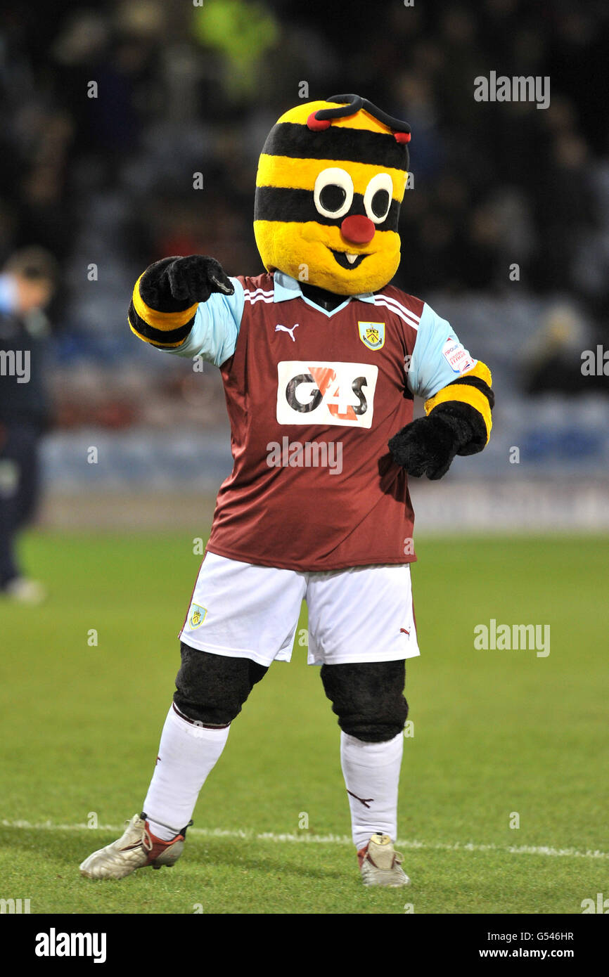 Bertie bee football mascot hi-res stock photography and images - Alamy