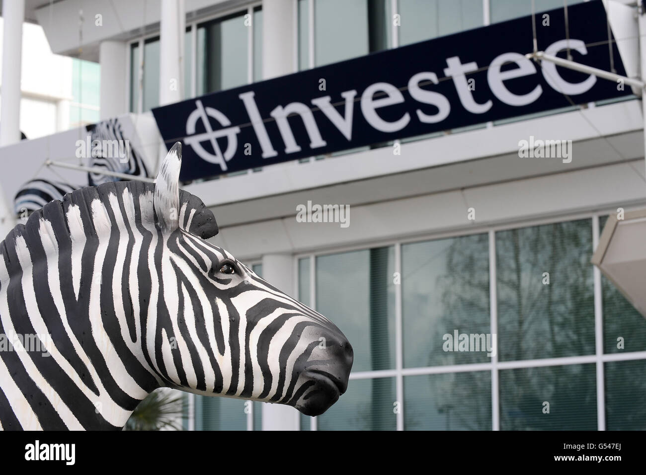Investec Zebra statue outside of the Queens stand at Epsom Downs ...