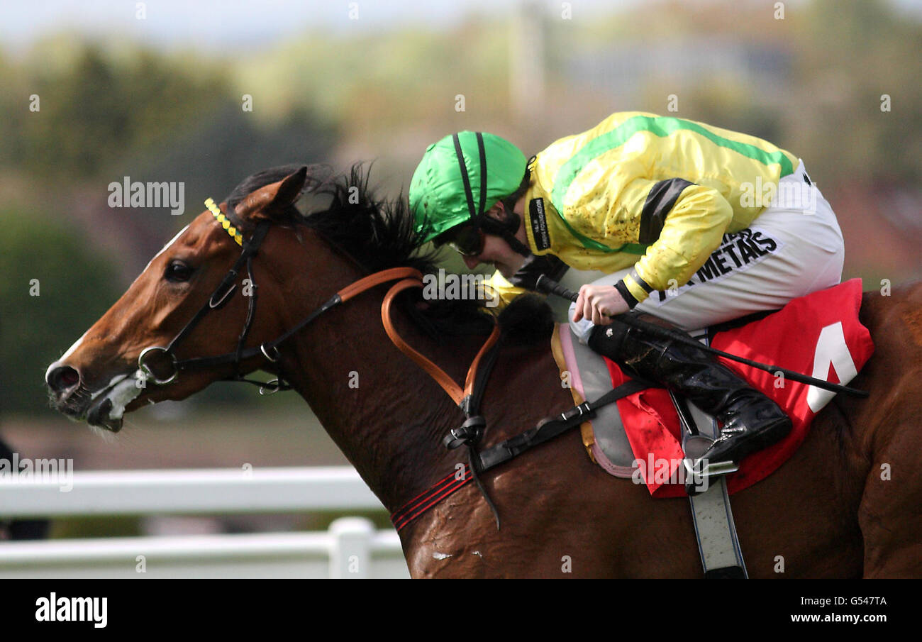 Morant Bay ridden by Tom Queally during Nordoff Robbins Willie ...