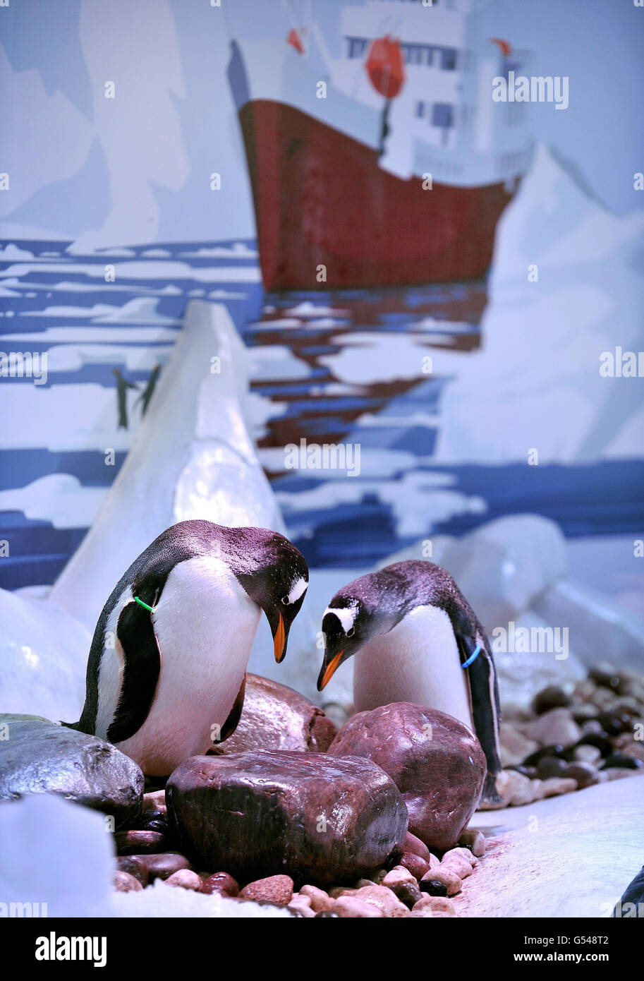 Pilfer hi-res stock photography and images - Alamy