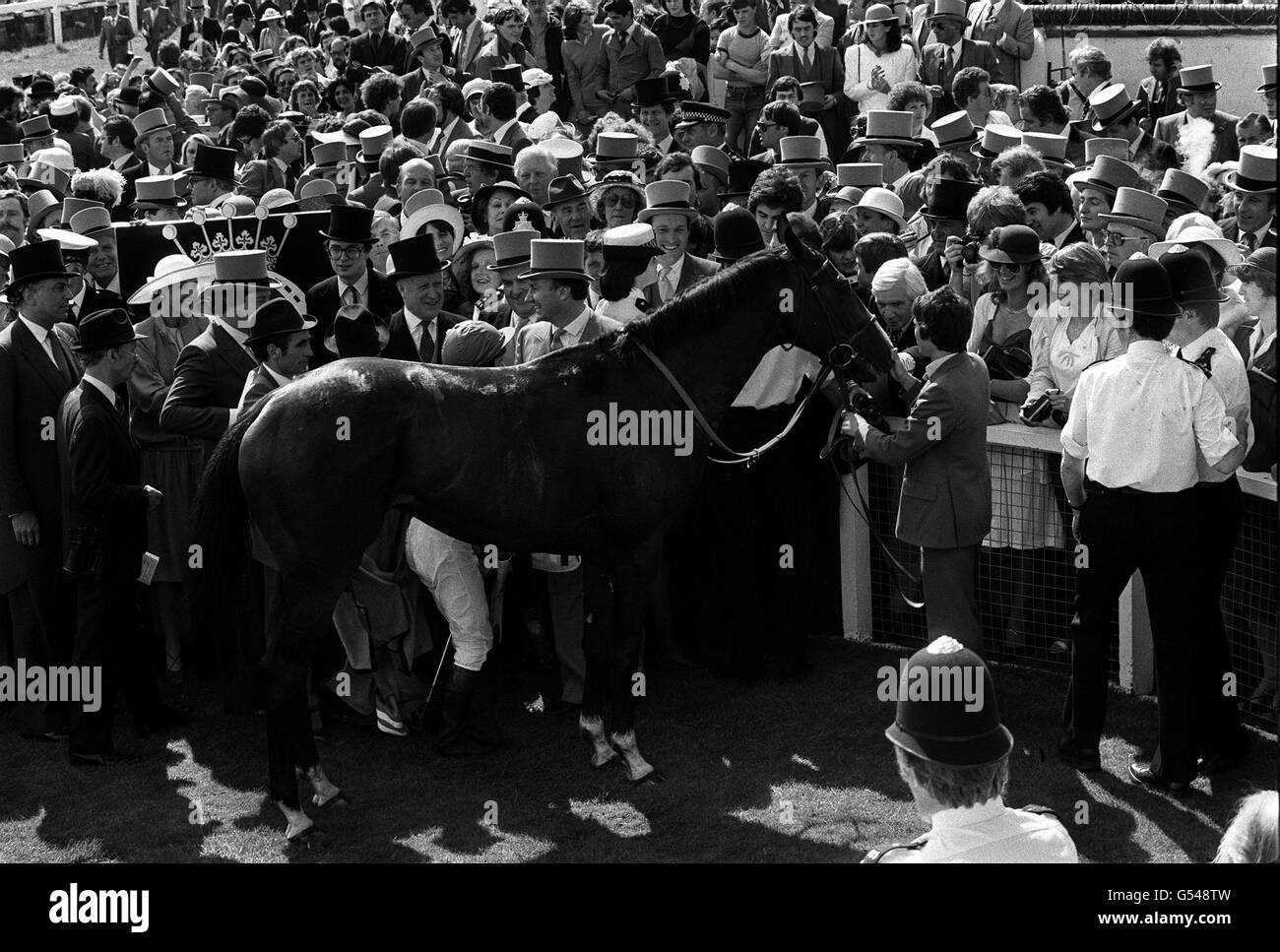 With shergar hi-res stock photography and images - Alamy