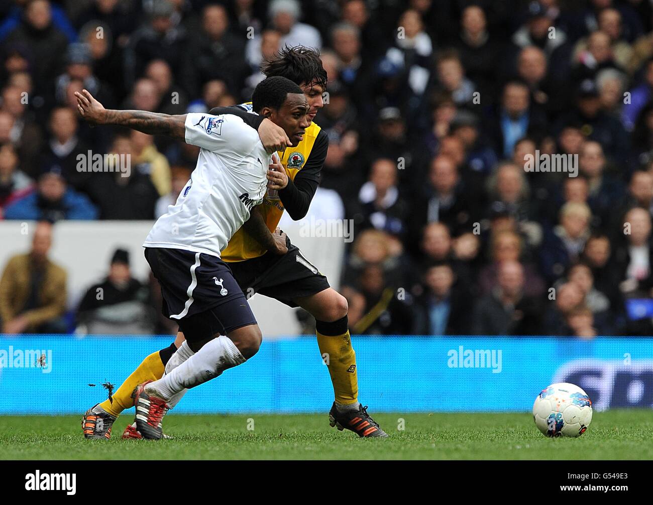 Mauro formica hi-res stock photography and images - Alamy