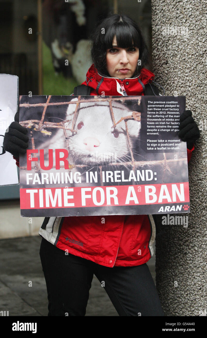 Fur farming ban hi-res stock photography and images - Alamy