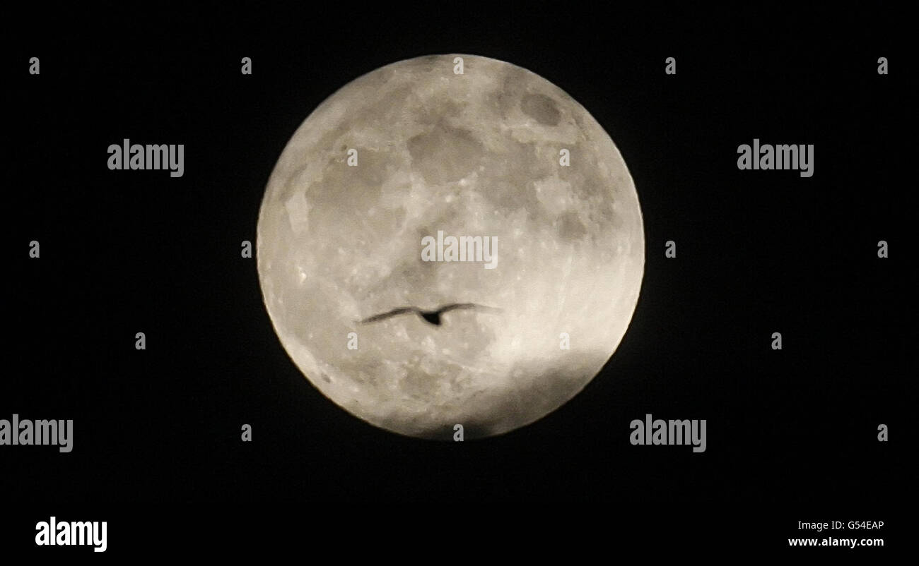 Perigee full moon Stock Photo - Alamy