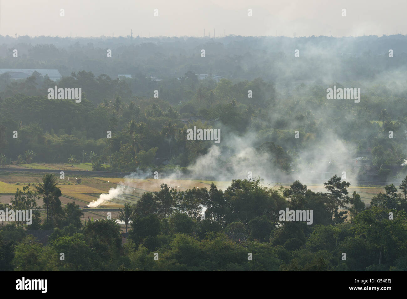 Indonesia, Java, Sleman, Long-Distance Over Trees, Ratu Boko ...
