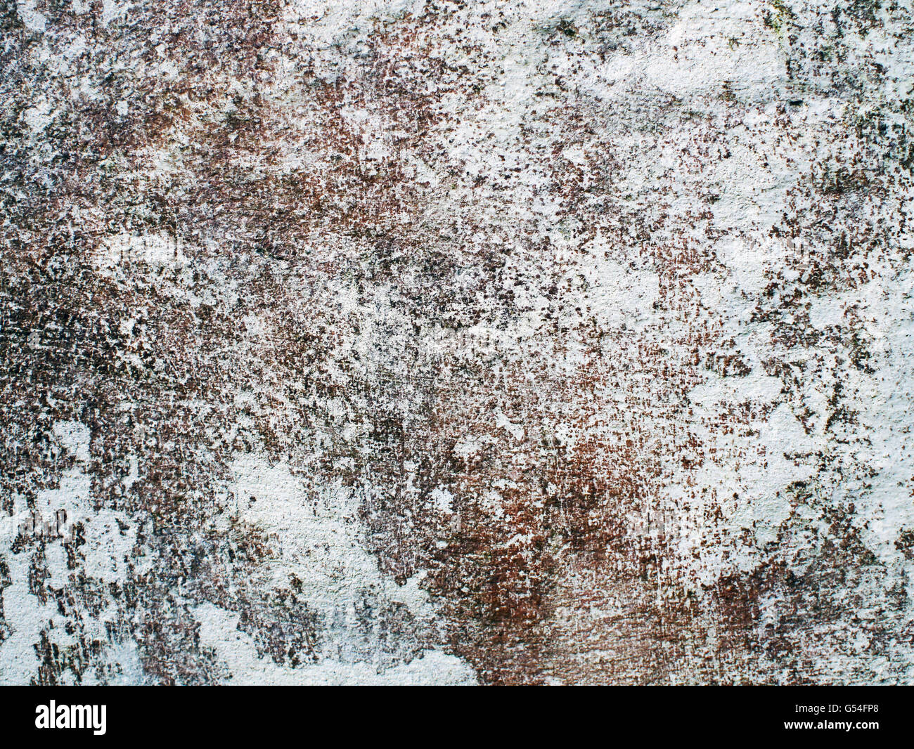 Textured wall with discoloration due to fungus or algae Stock Photo - Alamy