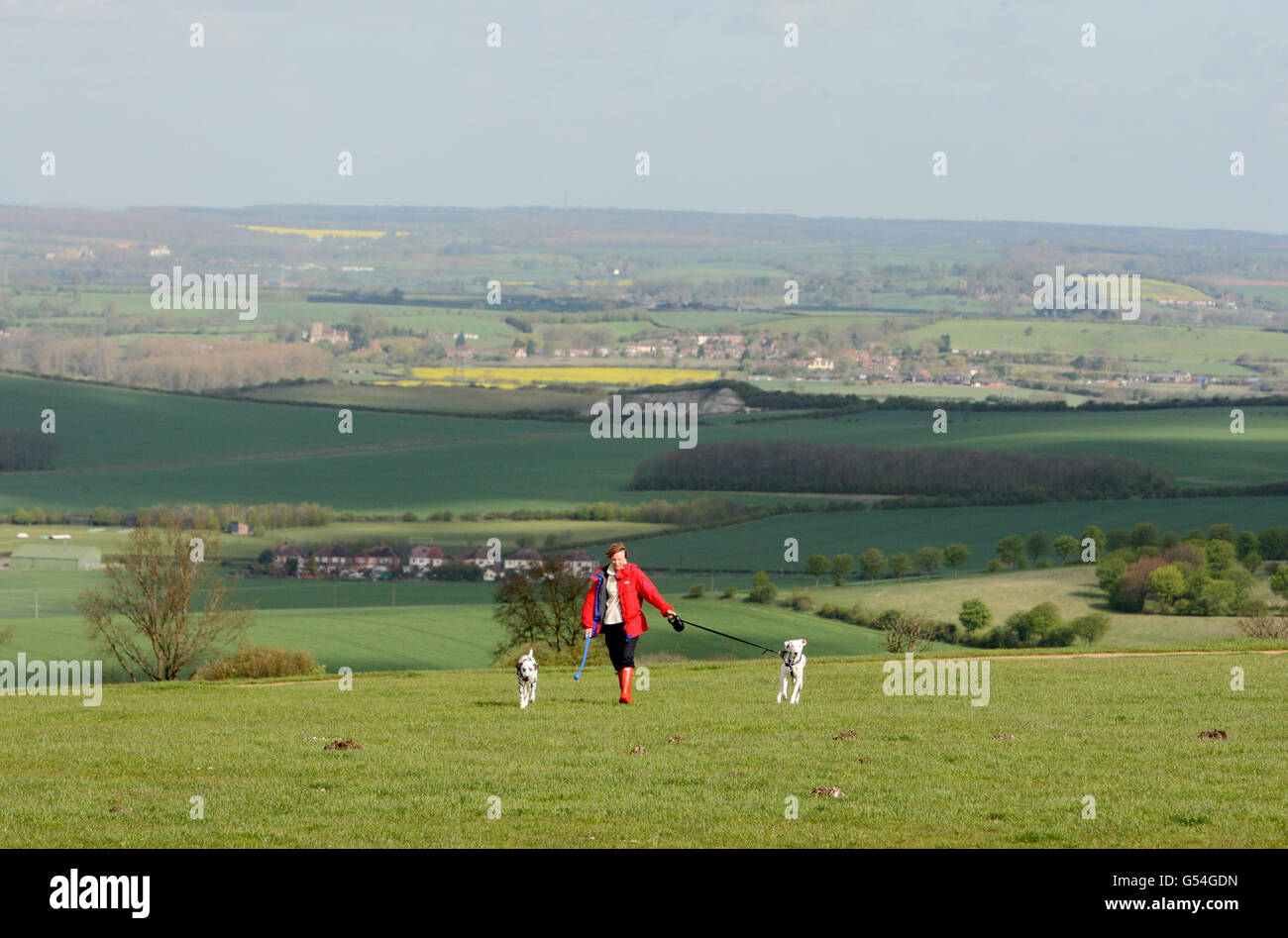 A woman walks dogs on the Dunstable Downs in Bedfordshire, as much of ...