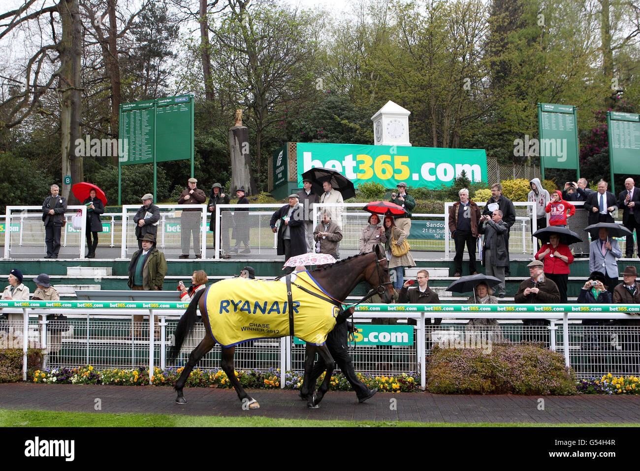 Bet365 com signage hi-res stock photography and images - Alamy