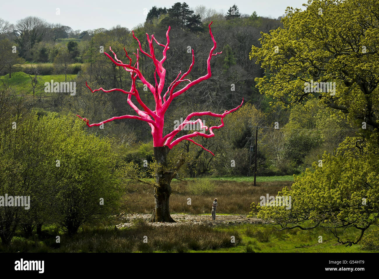 Oak tree painted pink Stock Photo - Alamy