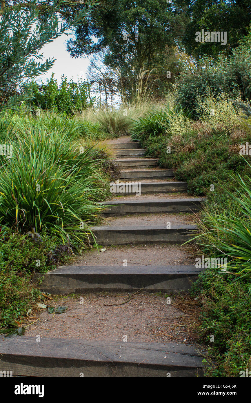 Wooden steps lead up the path on a country walk Stock Photo - Alamy