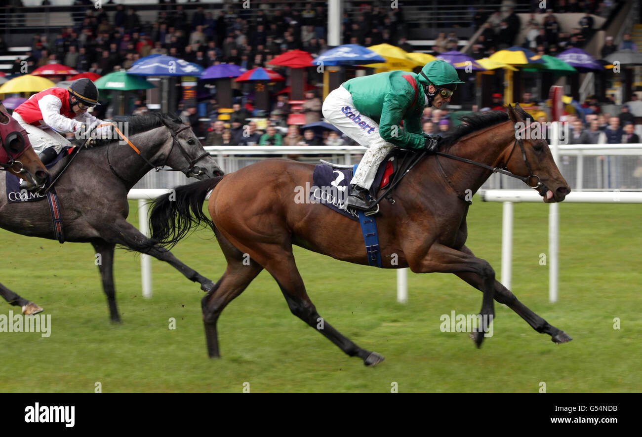 Horse Racing - Newbridge Community Race Day - The Curragh Stock Photo ...
