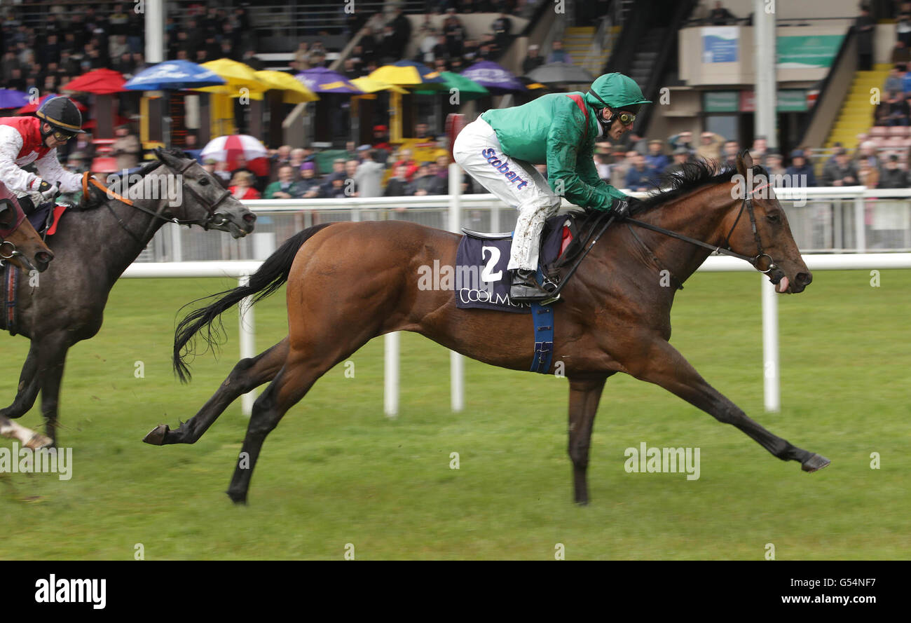 Horse Racing - Newbridge Community Race Day - The Curragh Stock Photo ...