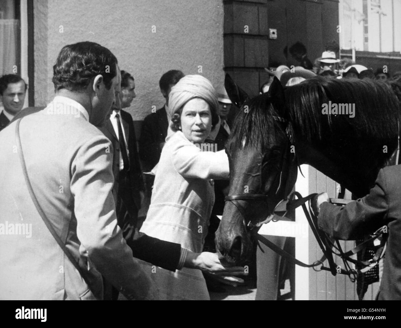 High res available on request queen elizabeth ii colt charlton Black ...