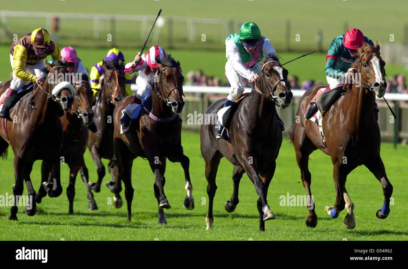 From on the ridge far right at newmarket races hi-res stock photography ...
