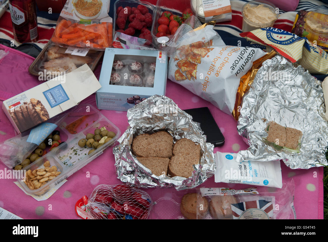 Picnic Uk shop bought food in one single use plastic wrappers and tin ...