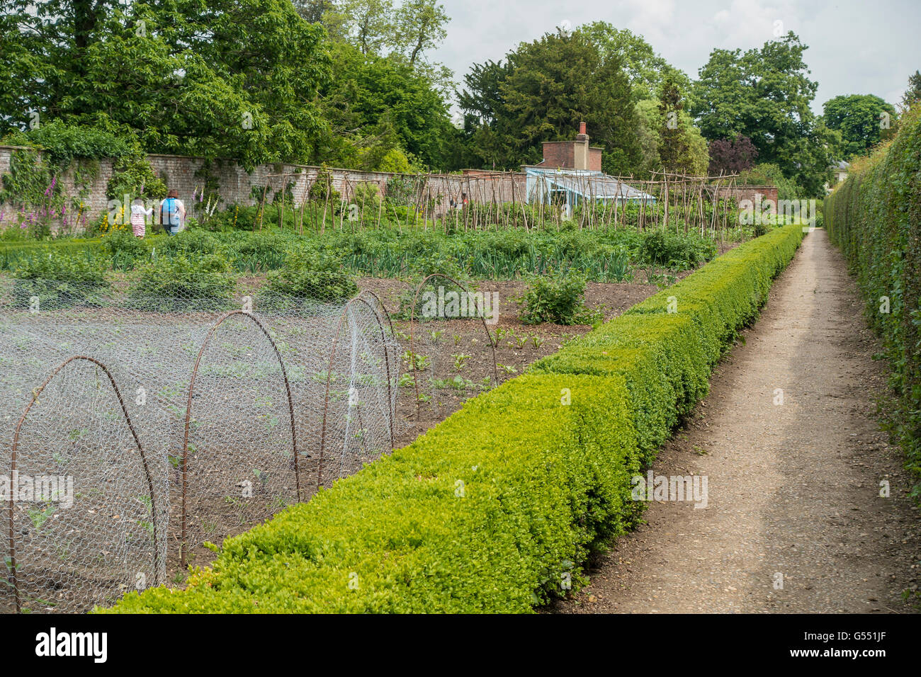 Greenhouse in Kitchen Garden Downe House Downe Kent Charles Darwin Home ...