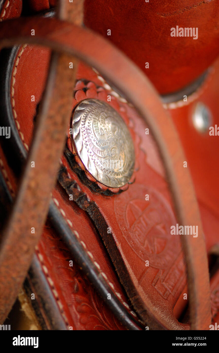 close up detail of American Cowboy saddle and reins Stock Photo - Alamy