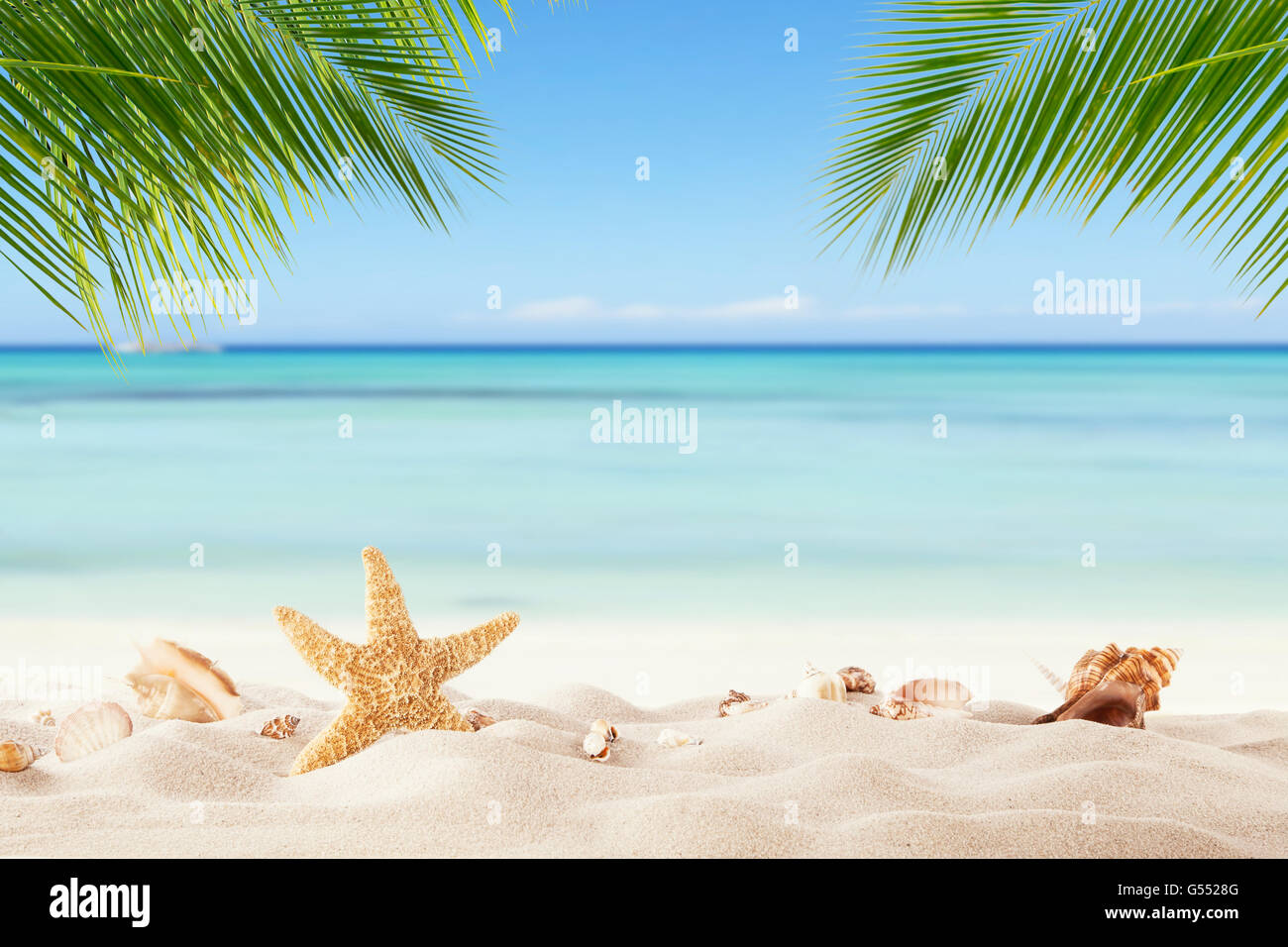 Summer sandy beach with blur ocean on background. Palm leaves on ...