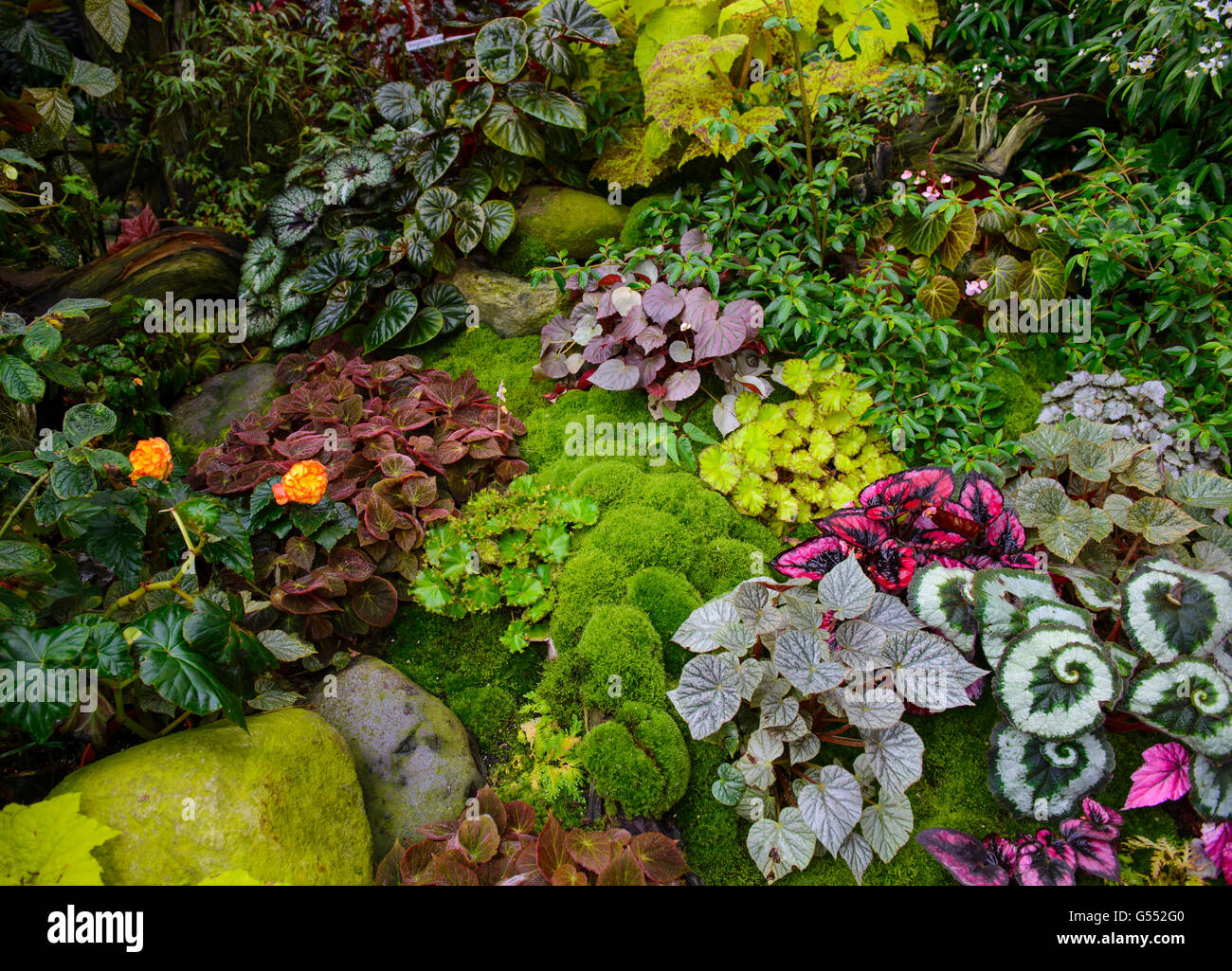 Field of different plant Stock Photo - Alamy