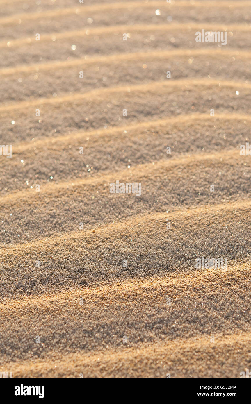 textures in the sand shaped by beautiful warm sunlight Stock Photo - Alamy
