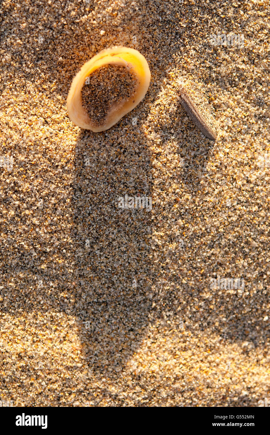 Upturned shell hi-res stock photography and images - Alamy