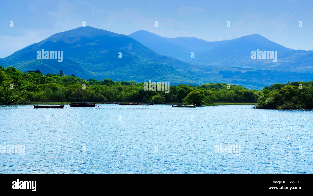 Ireland lough leane boat hi-res stock photography and images - Alamy