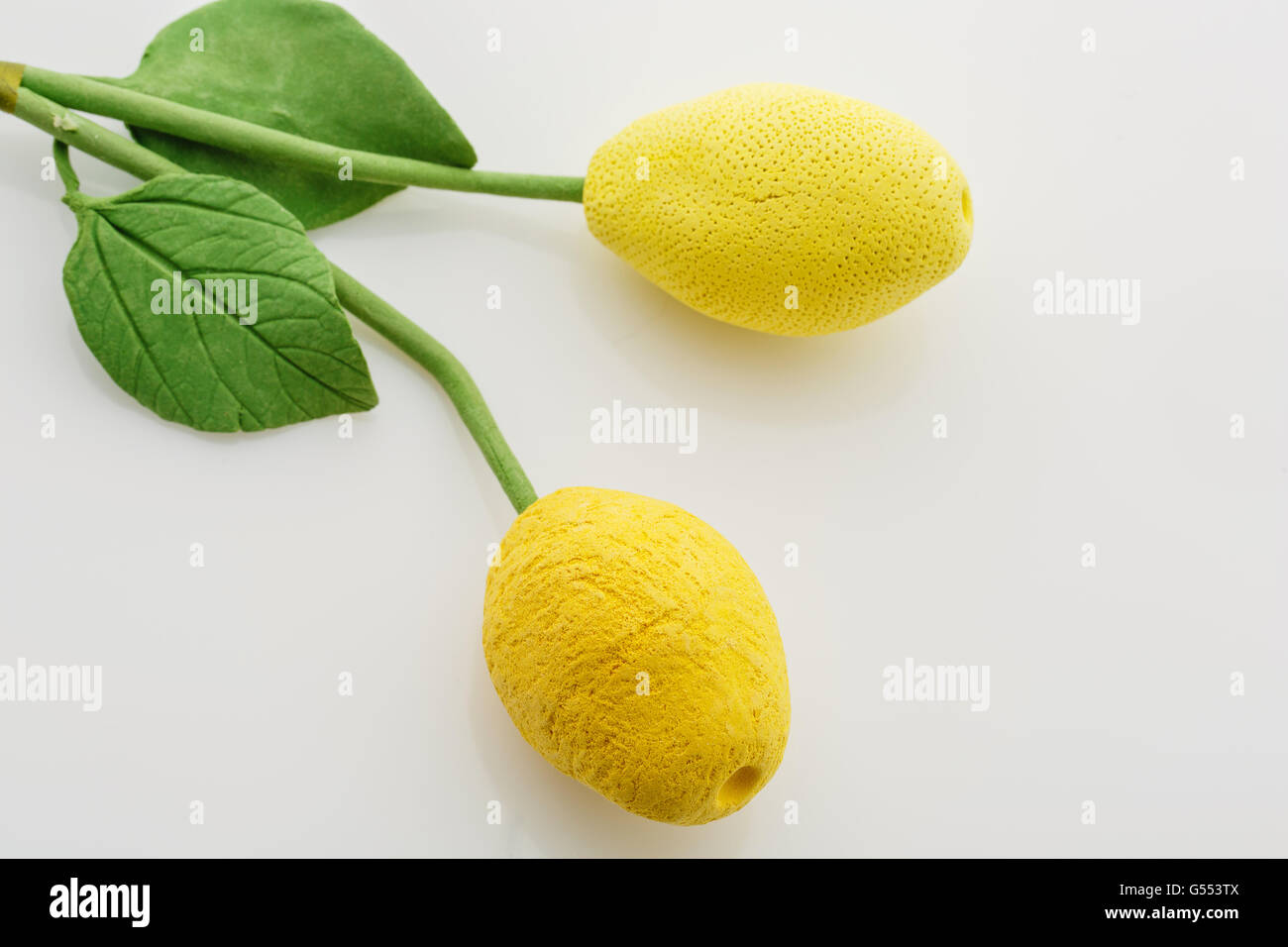 Lemon twigs over white background Stock Photo - Alamy