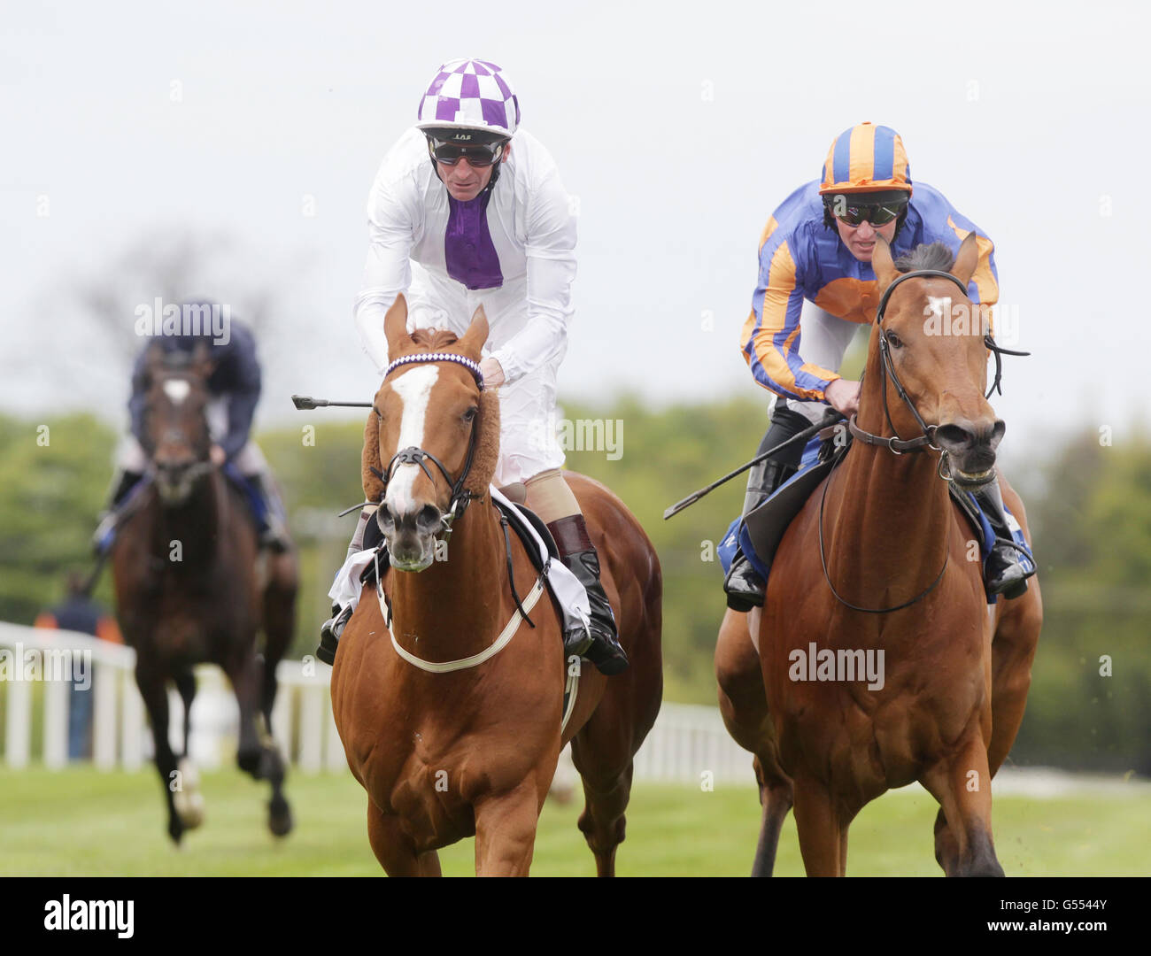 Horse Racing - Family Fun Raceday - Leopardstown Racecourse Stock Photo ...