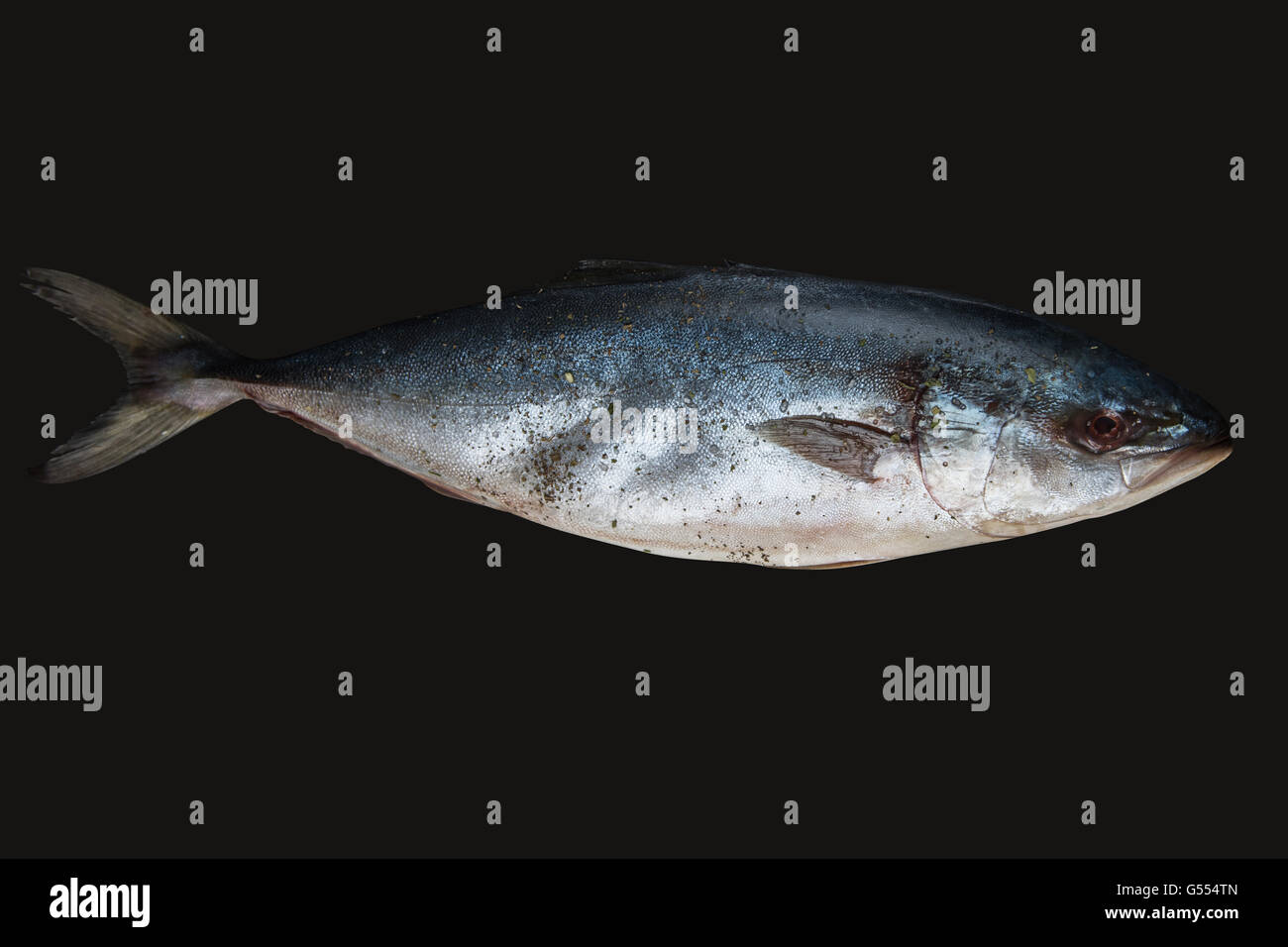 raw tuna fish Stock Photo - Alamy