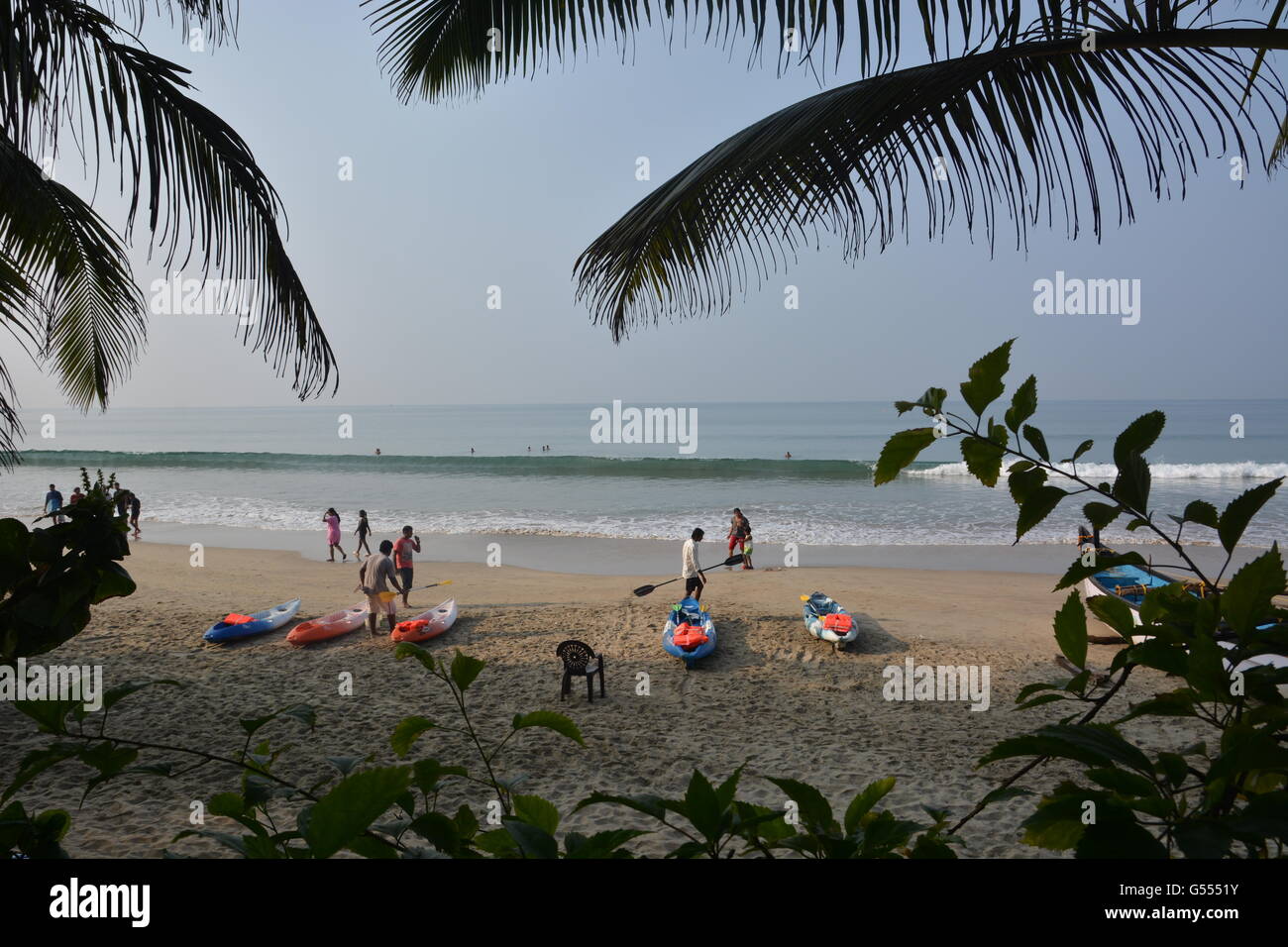 Native trees of india hi-res stock photography and images - Alamy