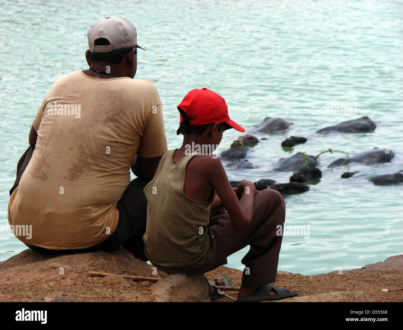 Catttle hi-res stock photography and images - Alamy