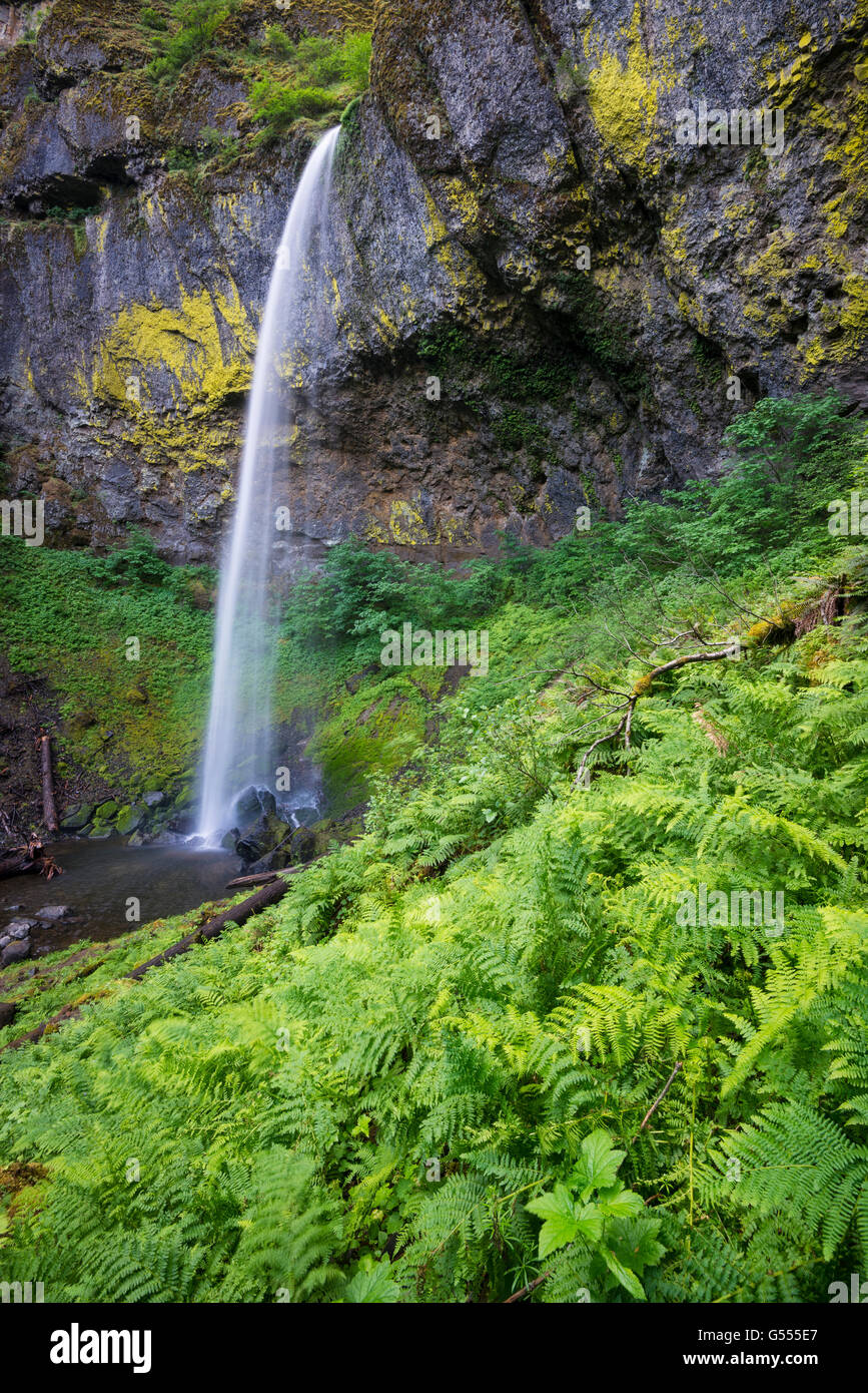 Columbia river gorge national scenic area hi-res stock photography and ...