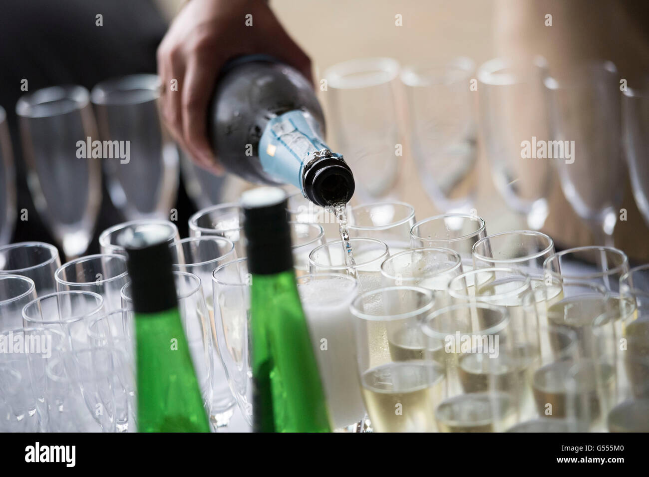 Champagne served in glasses from a bottle during a champagne reception ...