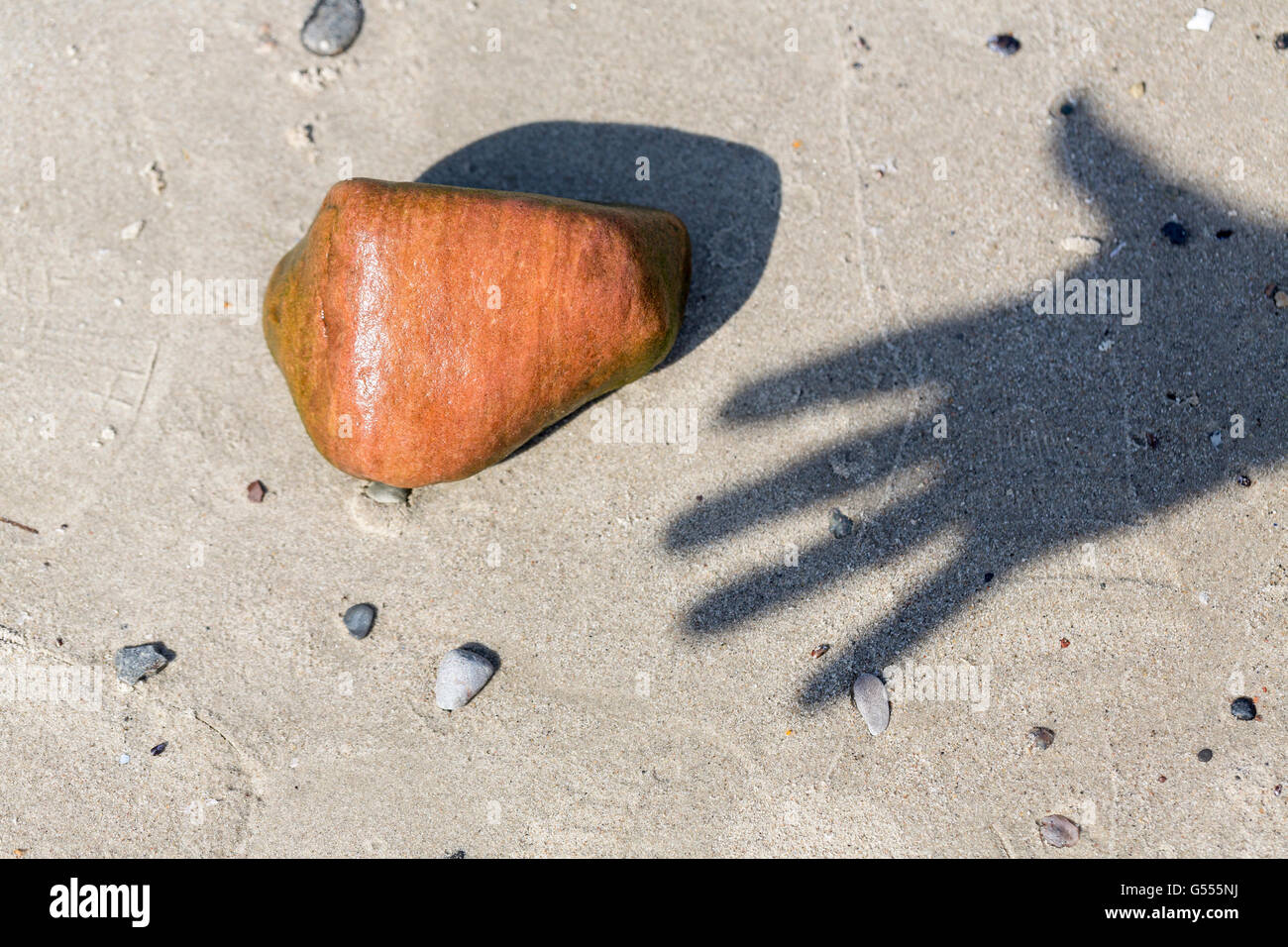 shadow of a hand and wet pebble at the beach Stock Photo - Alamy