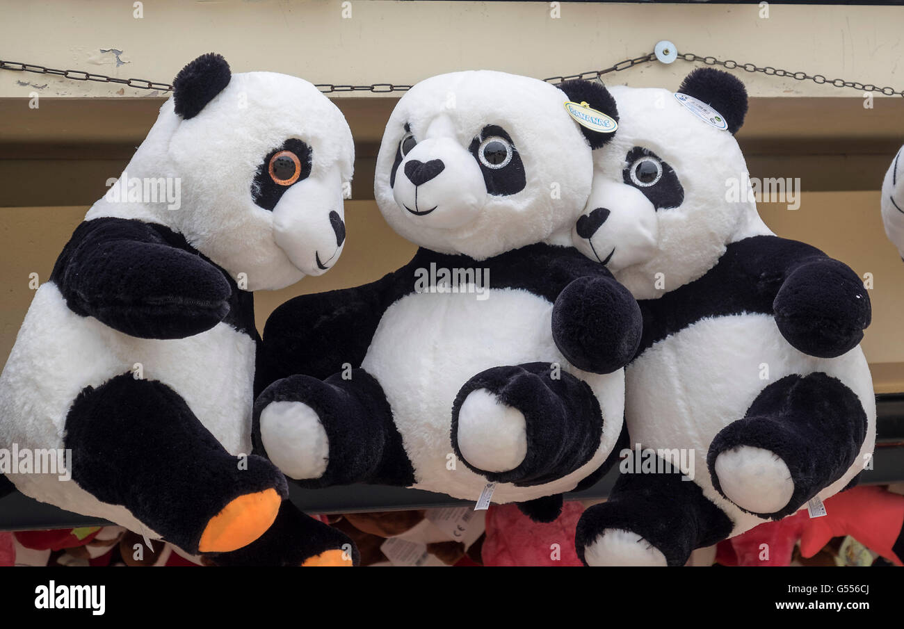 Soft toy prizes fun fair hi-res stock photography and images - Alamy
