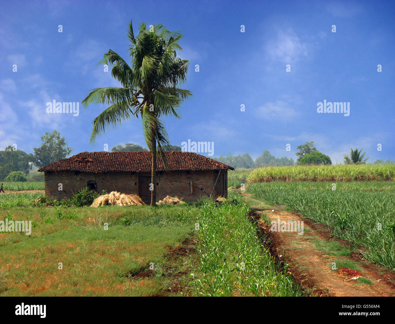 Farmhouse in India Stock Photo - Alamy