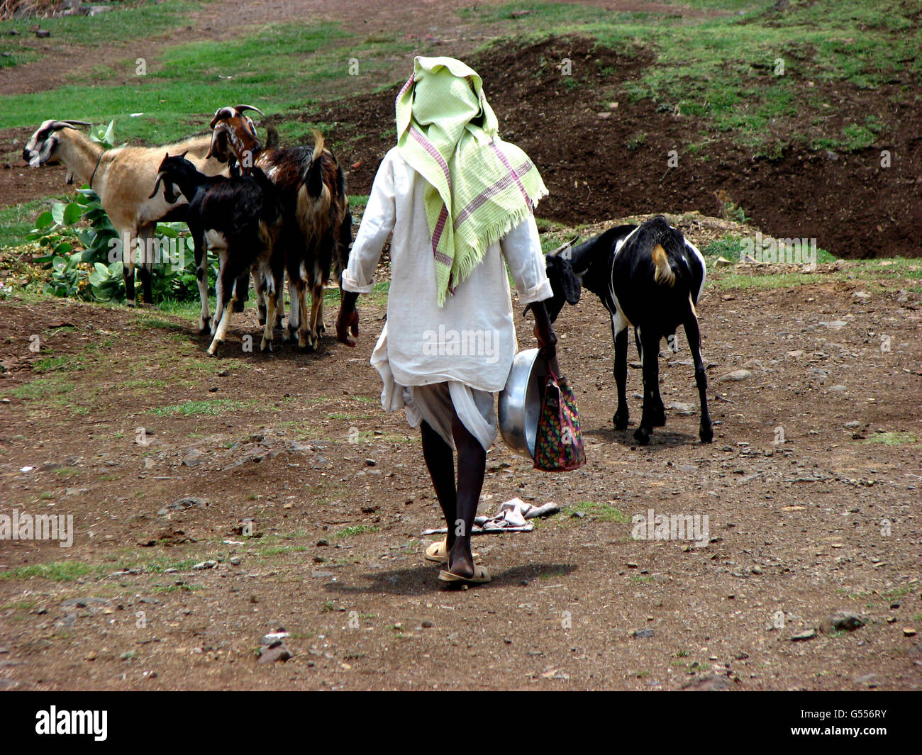 Indian shepherd hi-res stock photography and images - Alamy