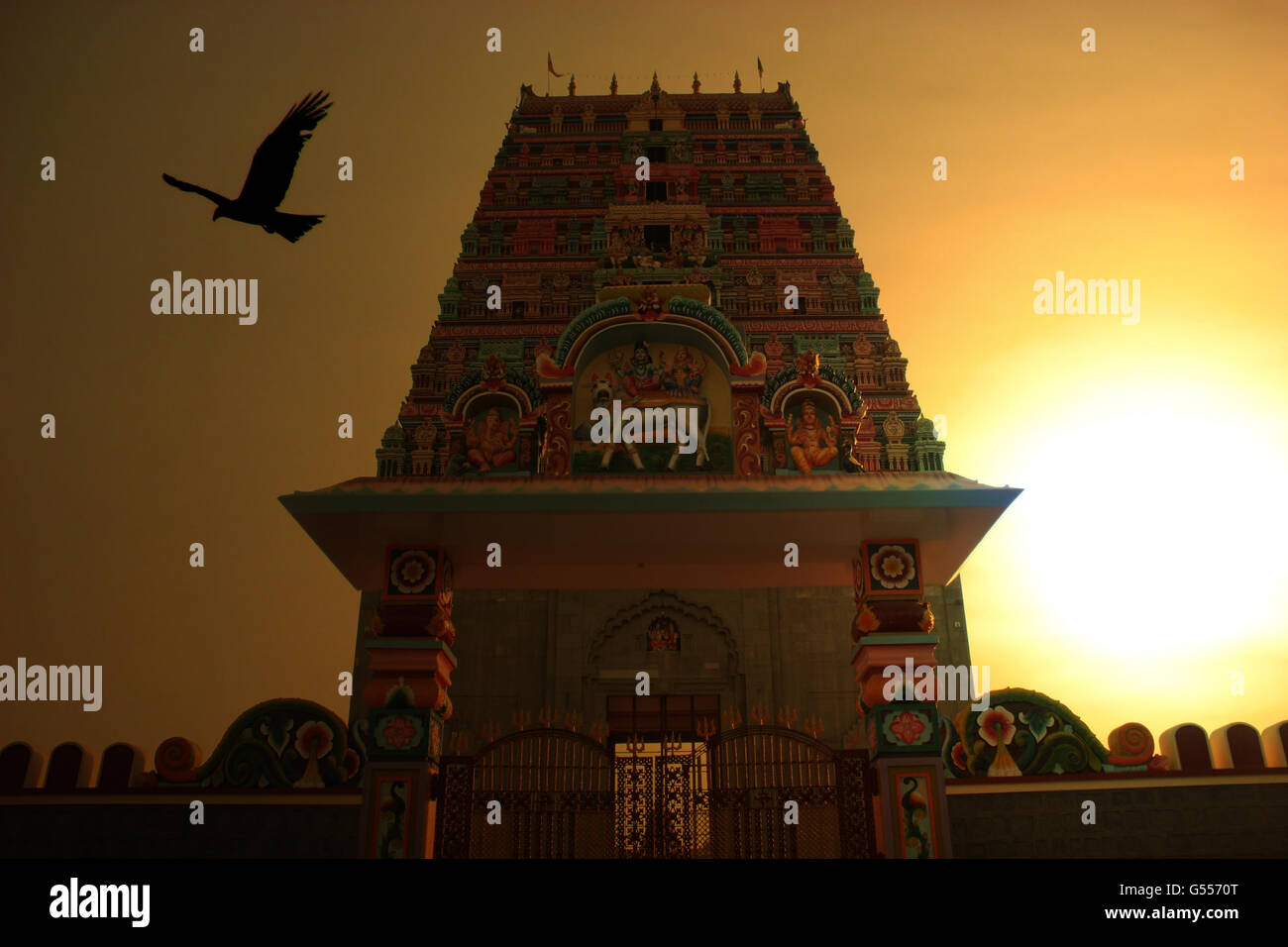 India bird temple hi-res stock photography and images - Alamy
