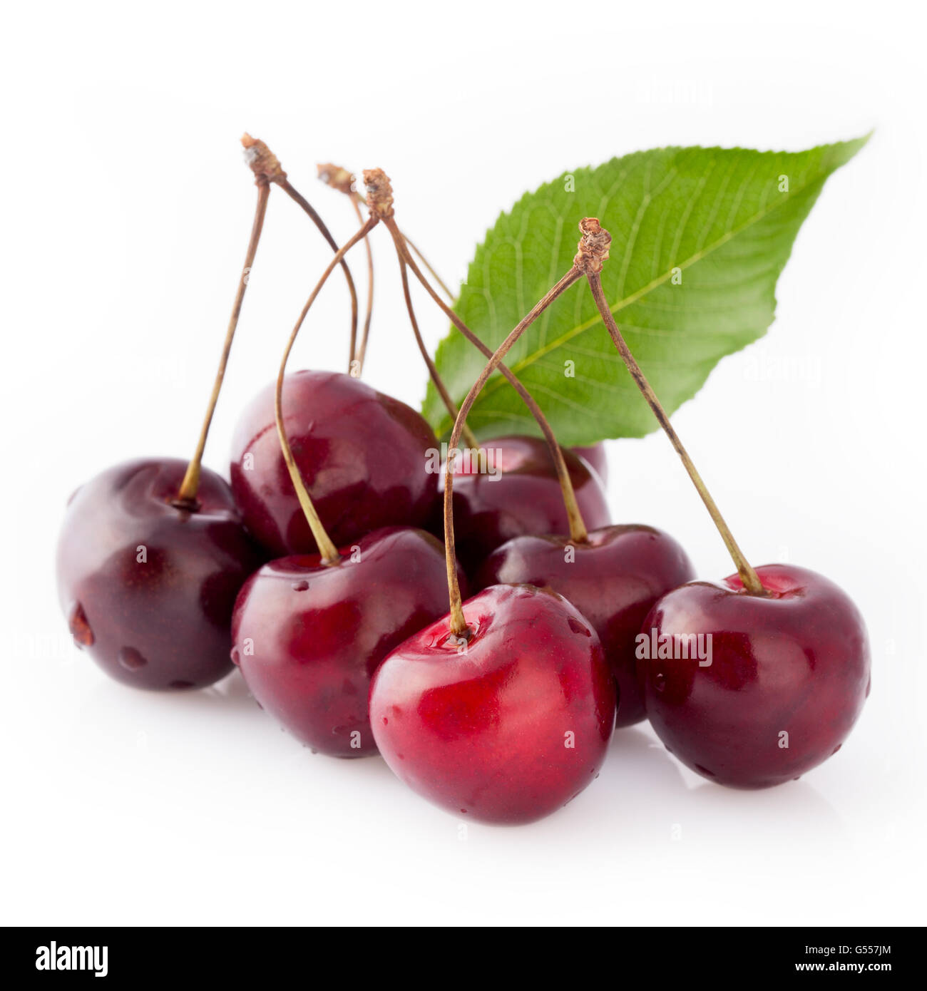 Black cherries Cut Out Stock Images & Pictures - Alamy